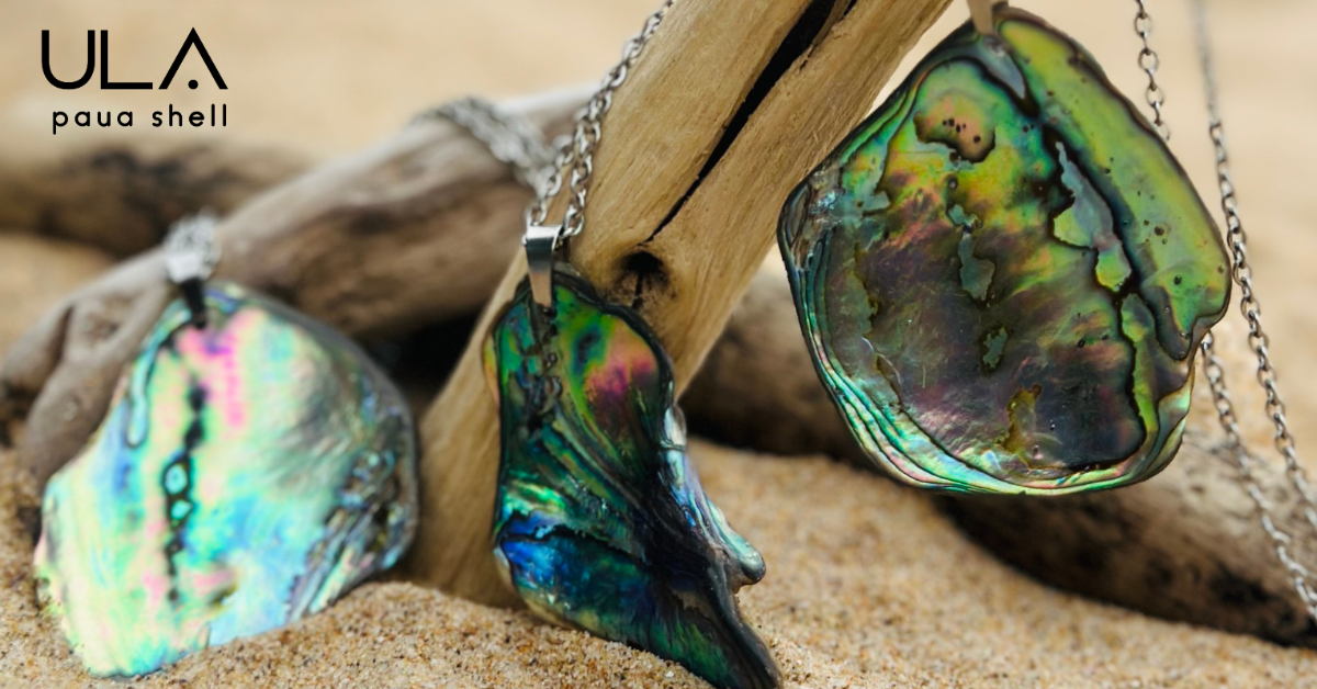 Ula Paua Shell | Handcrafted Paua Shell Jewellery Australia
